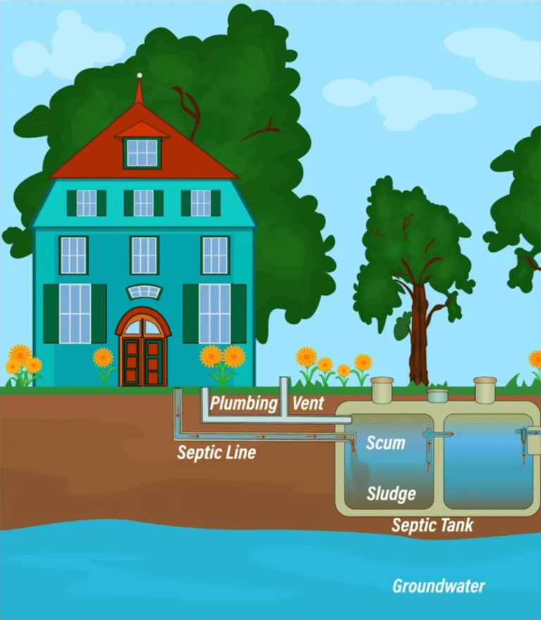 How Septic Tanks Work | Rex Vault Service, Inc